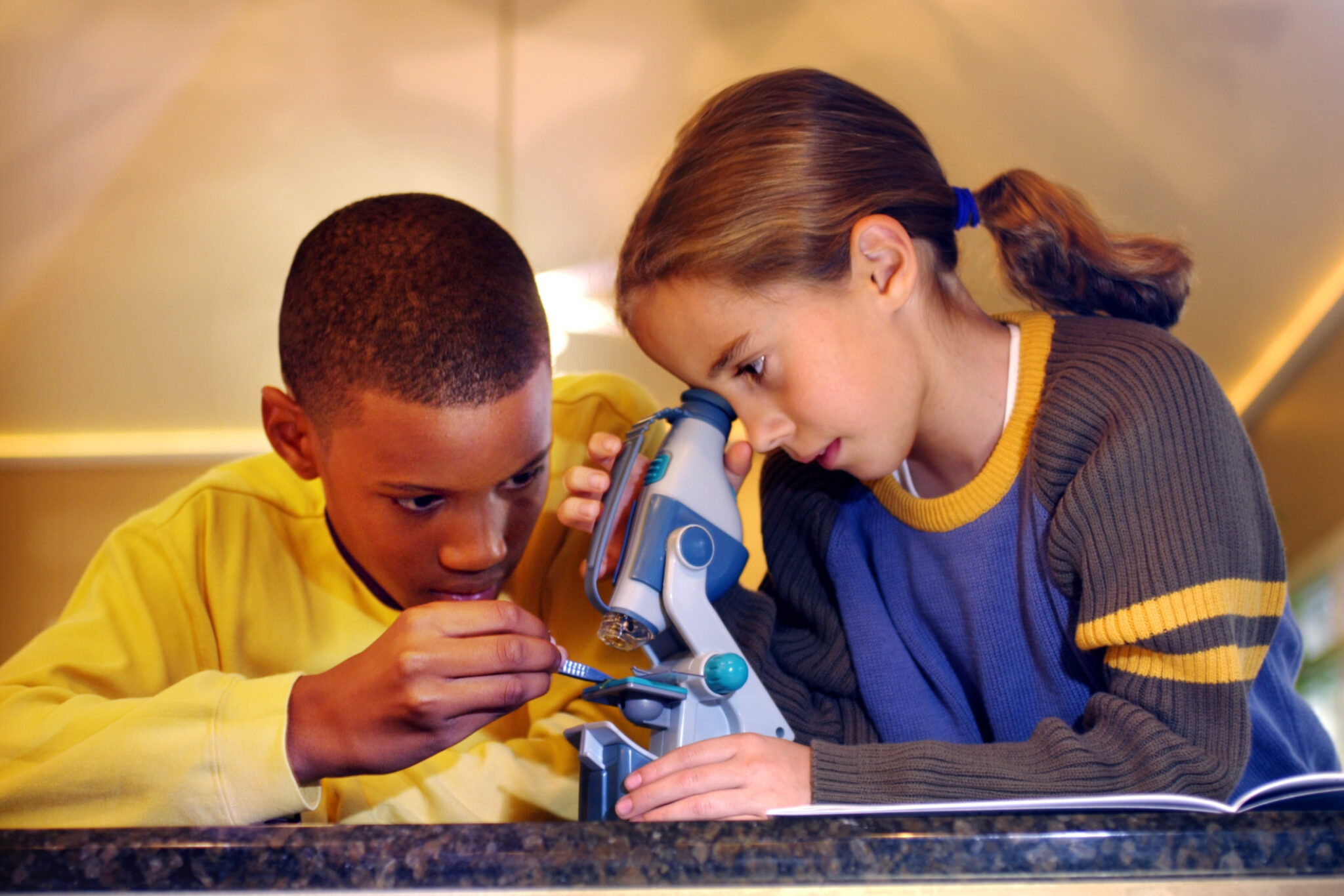 CAL SIOP for Instructional Coaches: Advanced – CAL Solutions